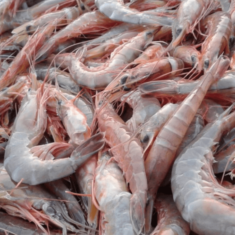 Camarón - Compra online | TuMercaGourmet.com